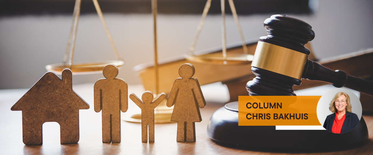 Column voorzitter Chris Bakhuis: “Tussen systeem en samenleving” - KBvG