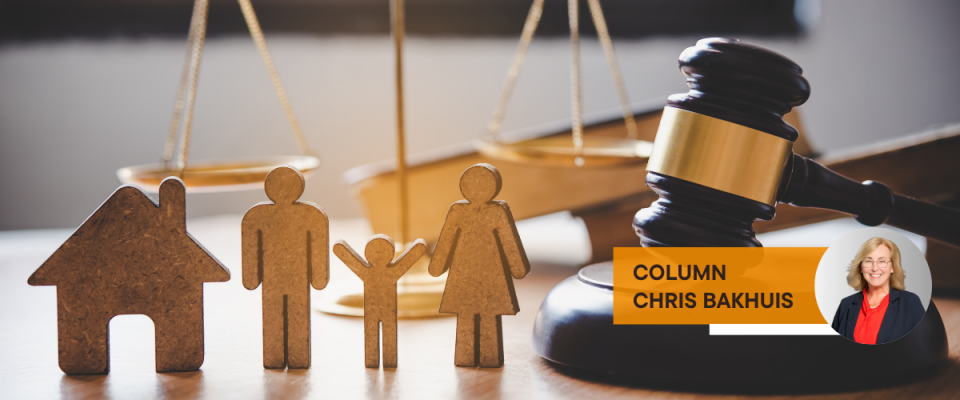 Column voorzitter Chris Bakhuis: “Tussen systeem en samenleving” - KBvG